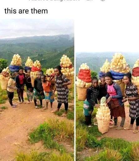 Arts and Crafts | The Yamba World