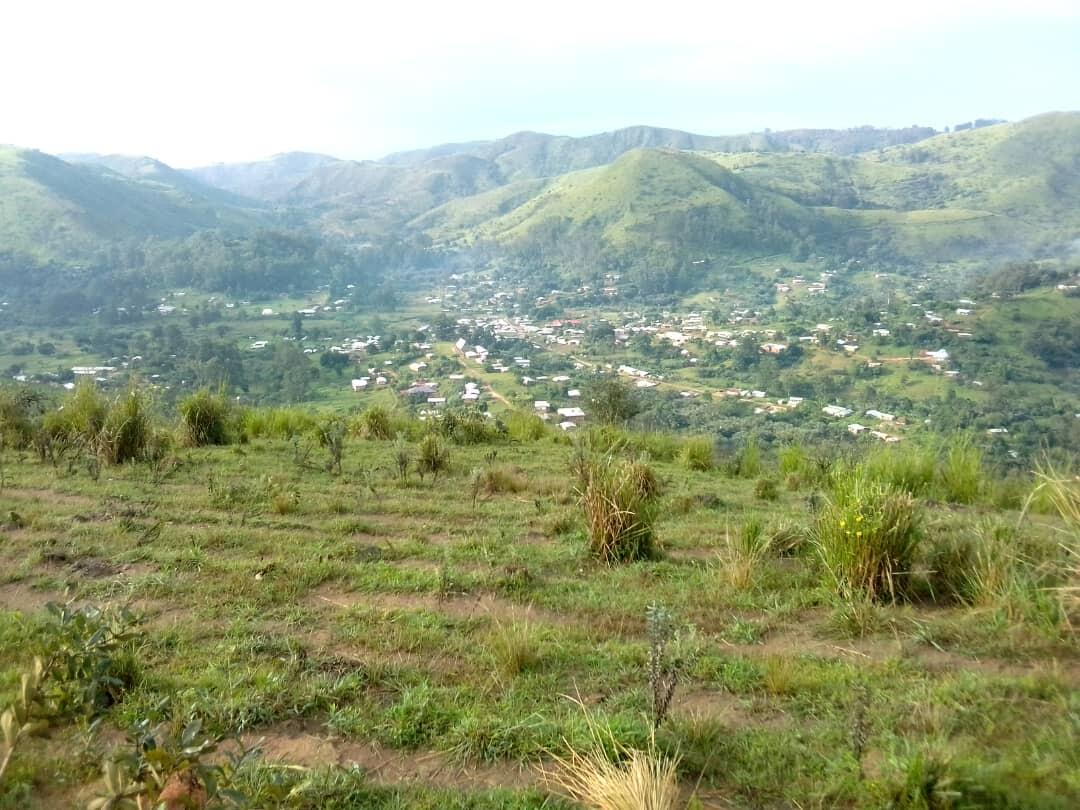 Picture Gallery | The Yamba World